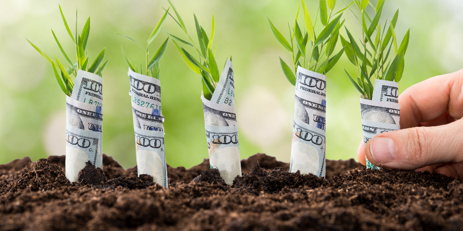 People, Pricing & Money Weigh Heavy On The Mind As Green Shoots Form ...