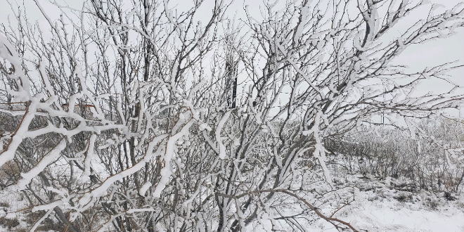 At Least Half The US Frac Fleet Forced To Stand Down [Post-Freeze ...